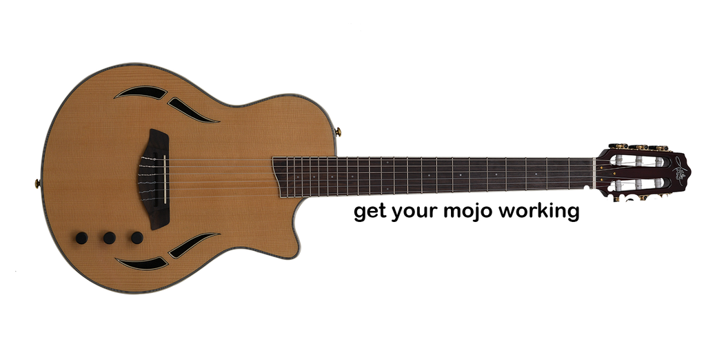 Aslin Dane Guitars | AslinDaneGuitars